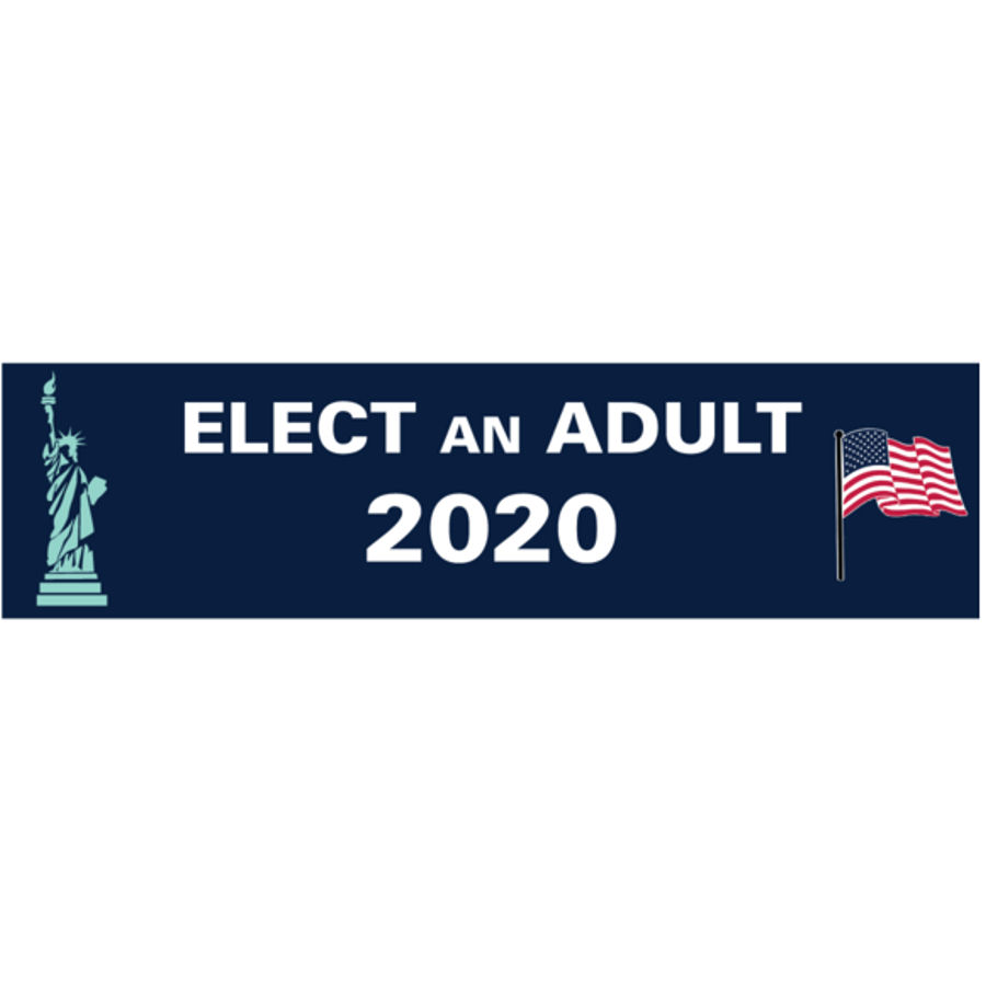 Elect An Adult 2020 - Bumper Sticker at Sticker Shoppe