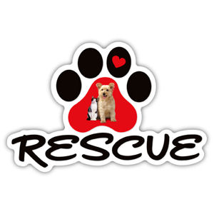 Rescue - Shape Magnet at Sticker Shoppe