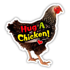 Hug A Chicken - Shape Magnet at Sticker Shoppe