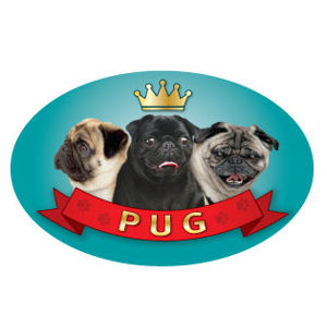 Pug - Oval Magnet at Sticker Shoppe