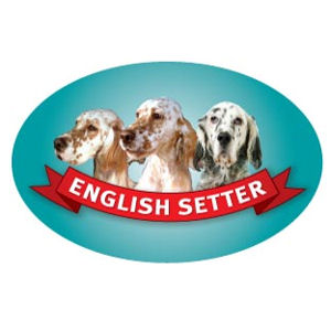 English Setter - Oval Magnet at Sticker Shoppe