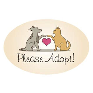 Please Adopt - Oval Magnet at Sticker Shoppe