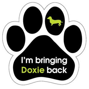 I'm Bringing Doxie Back - Paw Magnet at Sticker Shoppe