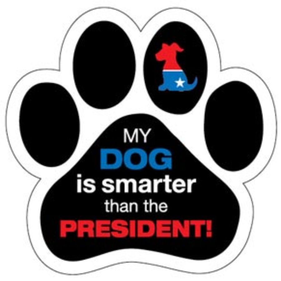 My Dog Is Smarter Than The President - Paw Magnet at Sticker Shoppe
