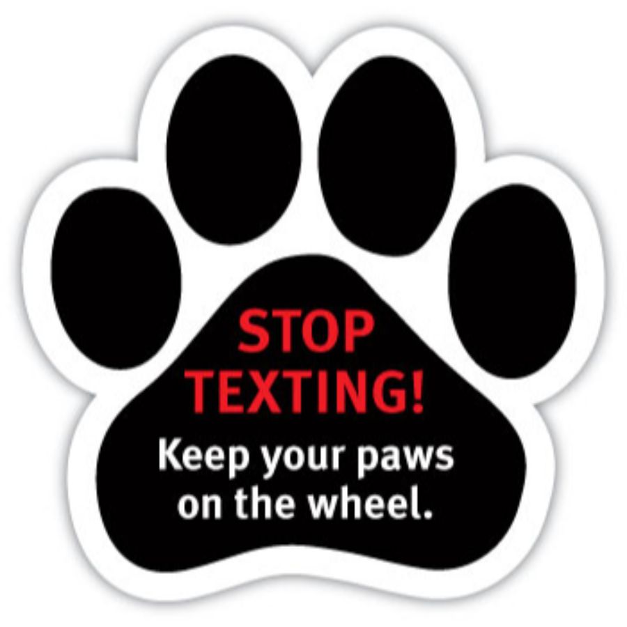 Stop Texting Keep Your Paws On The Road - Paw Magnet at Sticker Shoppe