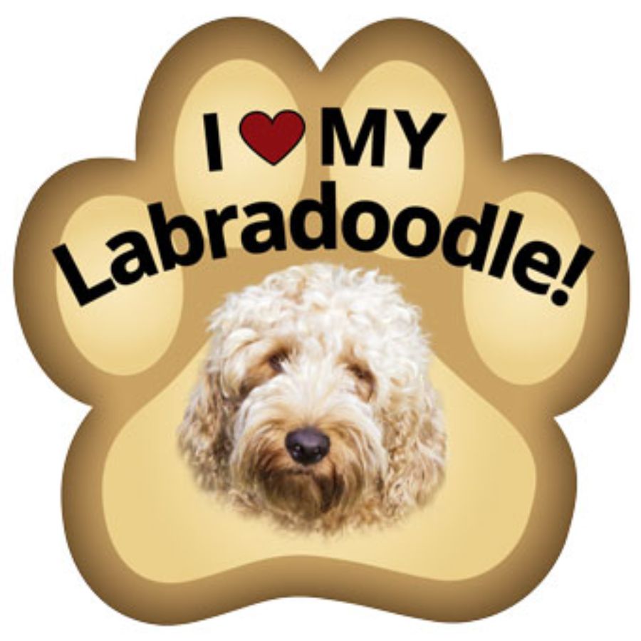 I Love My Labradoodle - Paw Magnet at Sticker Shoppe