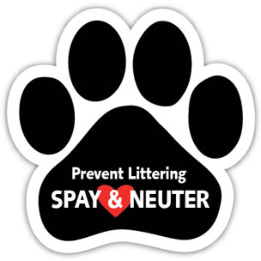 Prevent Littering Spay & Neuter - Paw Magnet at Sticker Shoppe