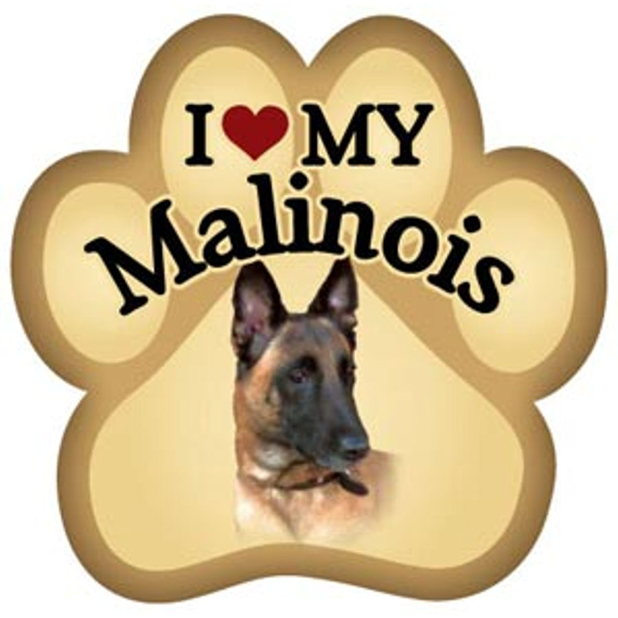 I Love My Belgian Malinois - Paw Magnet at Sticker Shoppe