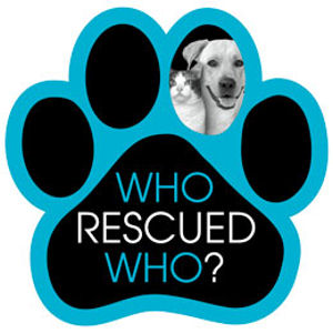 Who Rescued Who? - Blue Paw Magnet at Sticker Shoppe