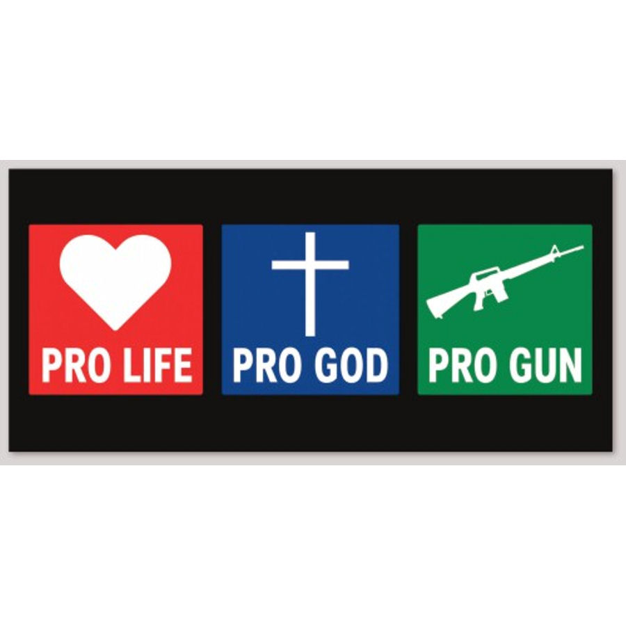 Pro Life Pro God Pro Gun - Bumper Sticker at Sticker Shoppe