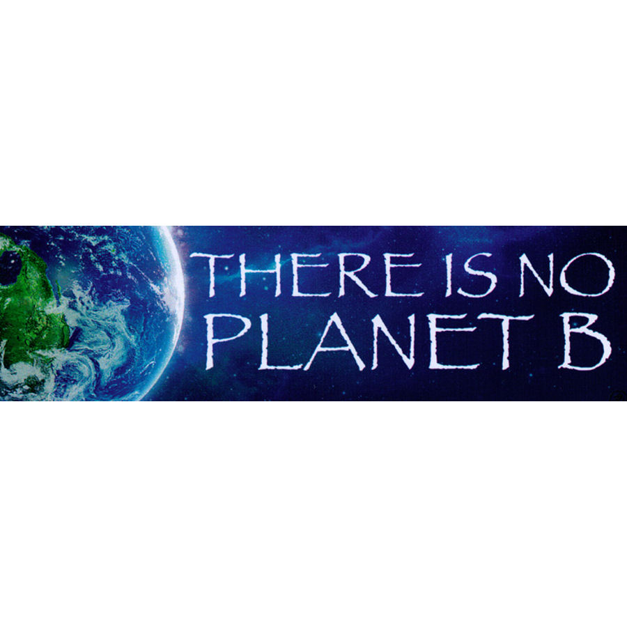 There Is No Planet B Space Earth - Bumper Sticker at Sticker Shoppe