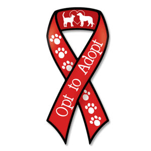 Opt To Adopt - Mini Ribbon Magnet at Sticker Shoppe