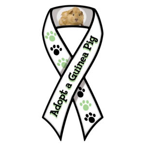 Adopt A Guinea Pig - Ribbon Magnet at Sticker Shoppe