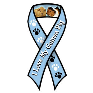 I Love My Guinea Pig - Ribbon Magnet at Sticker Shoppe