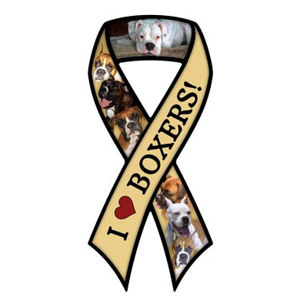 I Love Boxers - Ribbon Magnet at Sticker Shoppe