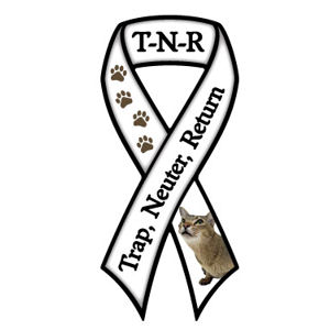 TNR Trap Neuter Return - Ribbon Magnet at Sticker Shoppe