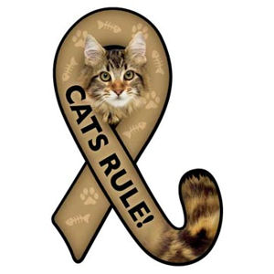 Cat's Rule - Tail Ribbon Magnet at Sticker Shoppe