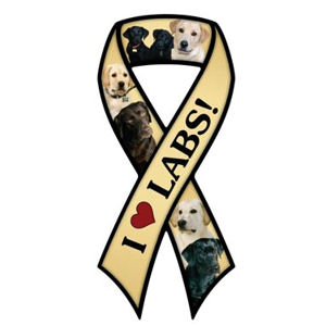 I Love Labs - Ribbon Magnet at Sticker Shoppe