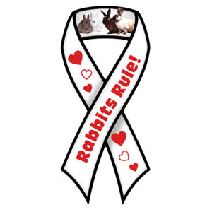 Rabbits Rule - Ribbon Magnet at Sticker Shoppe