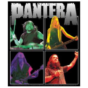 Pantera Photo - Vinyl Sticker at Sticker Shoppe