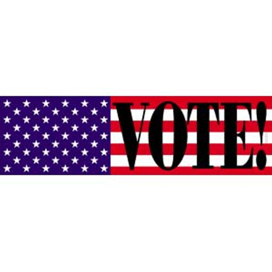 American Flag Vote - Vinyl Sticker at Sticker Shoppe