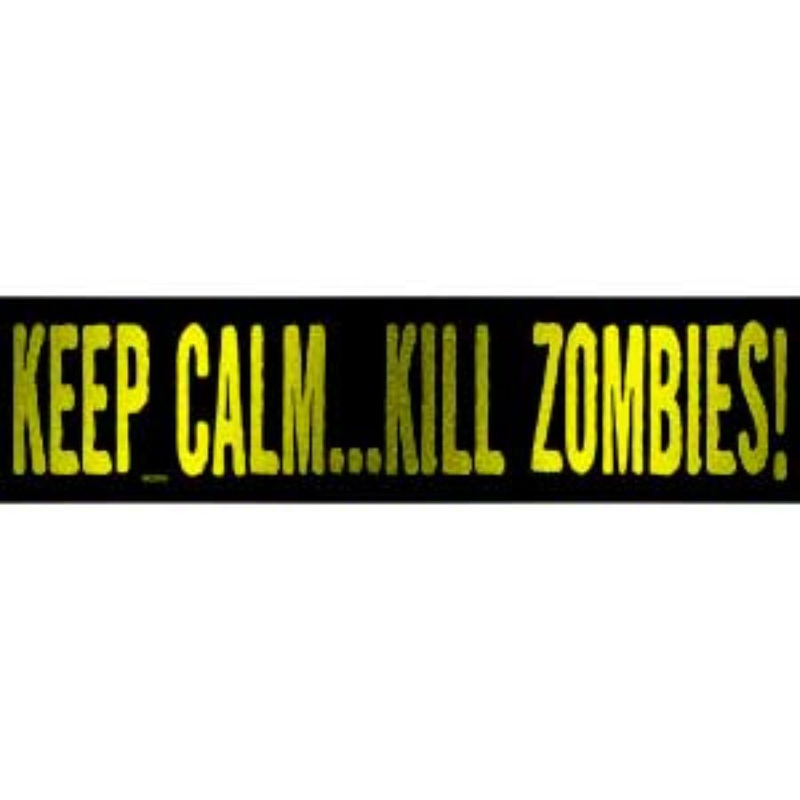 Keep Calm Kill Zombies Glitter - Vinyl Sticker at Sticker Shoppe