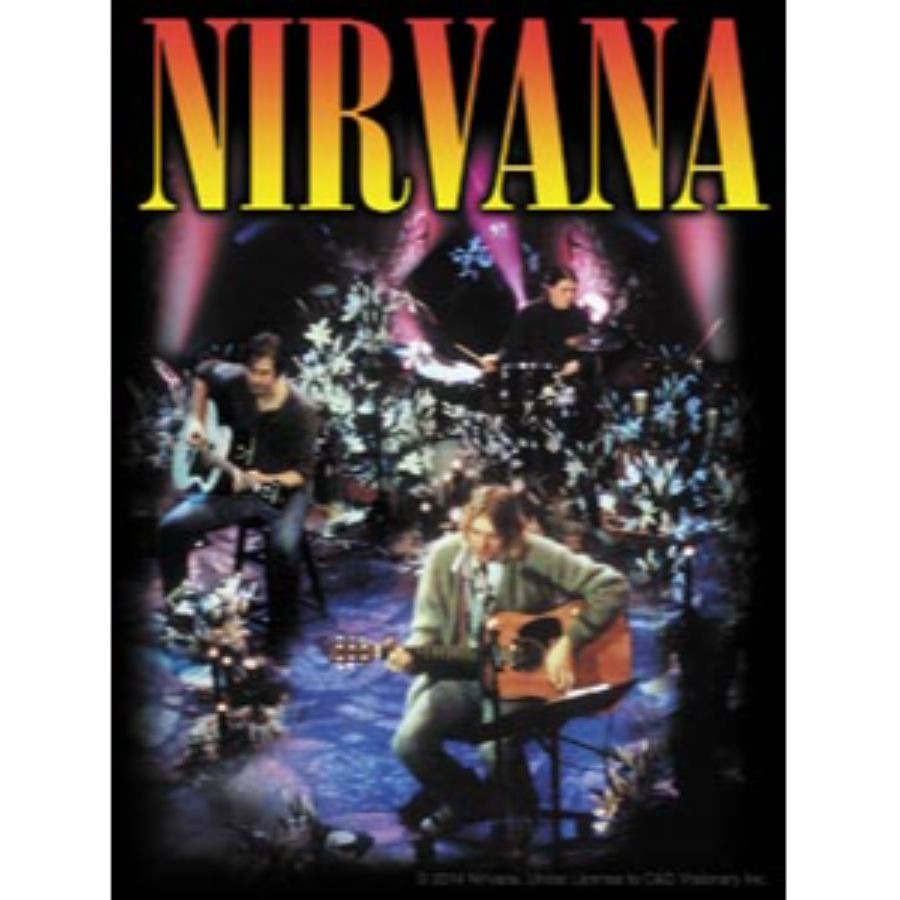 Nirvana Acoustic - Vinyl Sticker at Sticker Shoppe