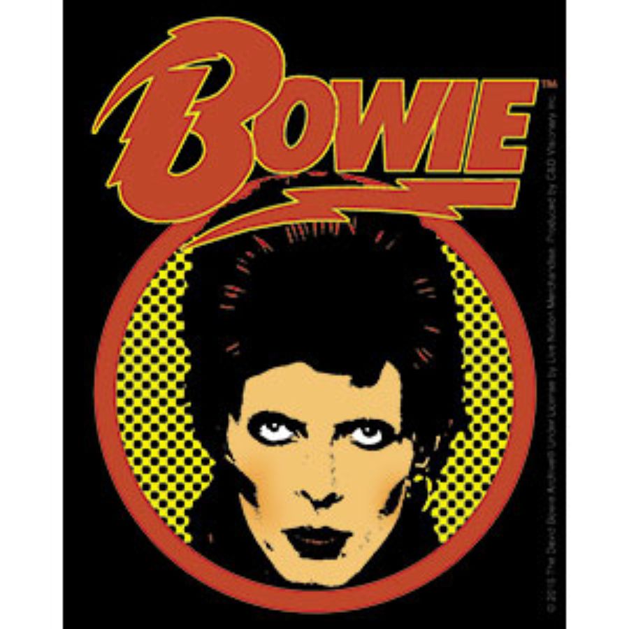 David Bowie Closeup & Logo - Vinyl Sticker at Sticker Shoppe