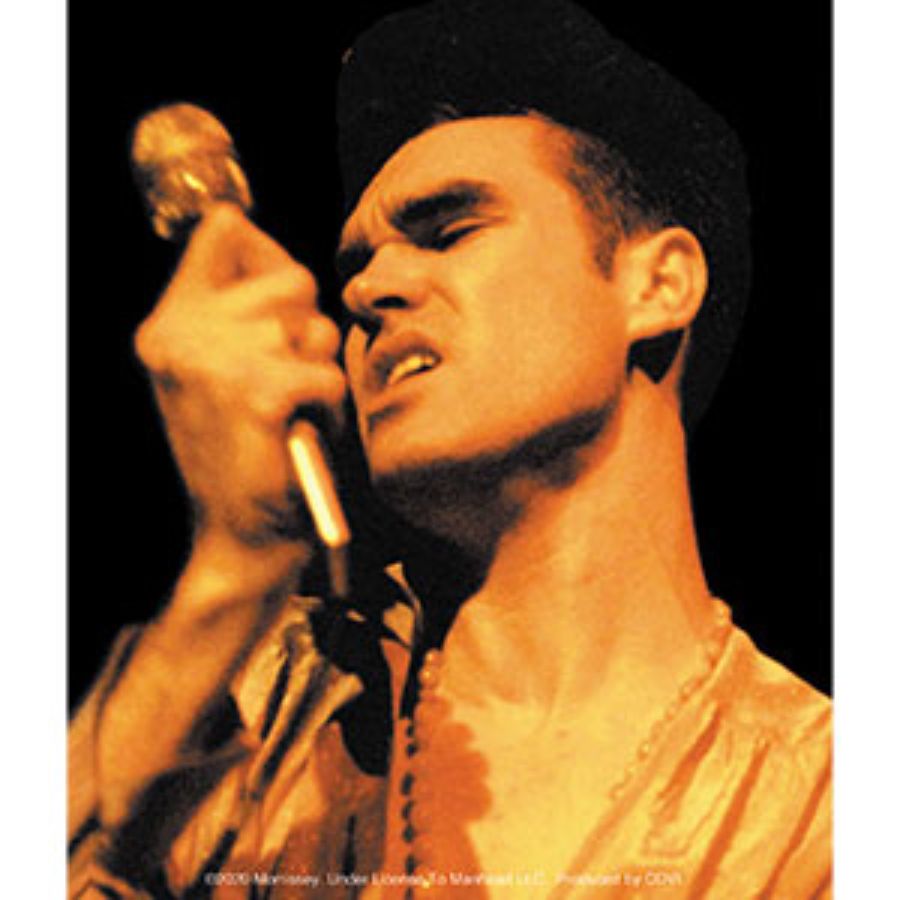 Morrissey Sing - Vinyl Sticker at Sticker Shoppe