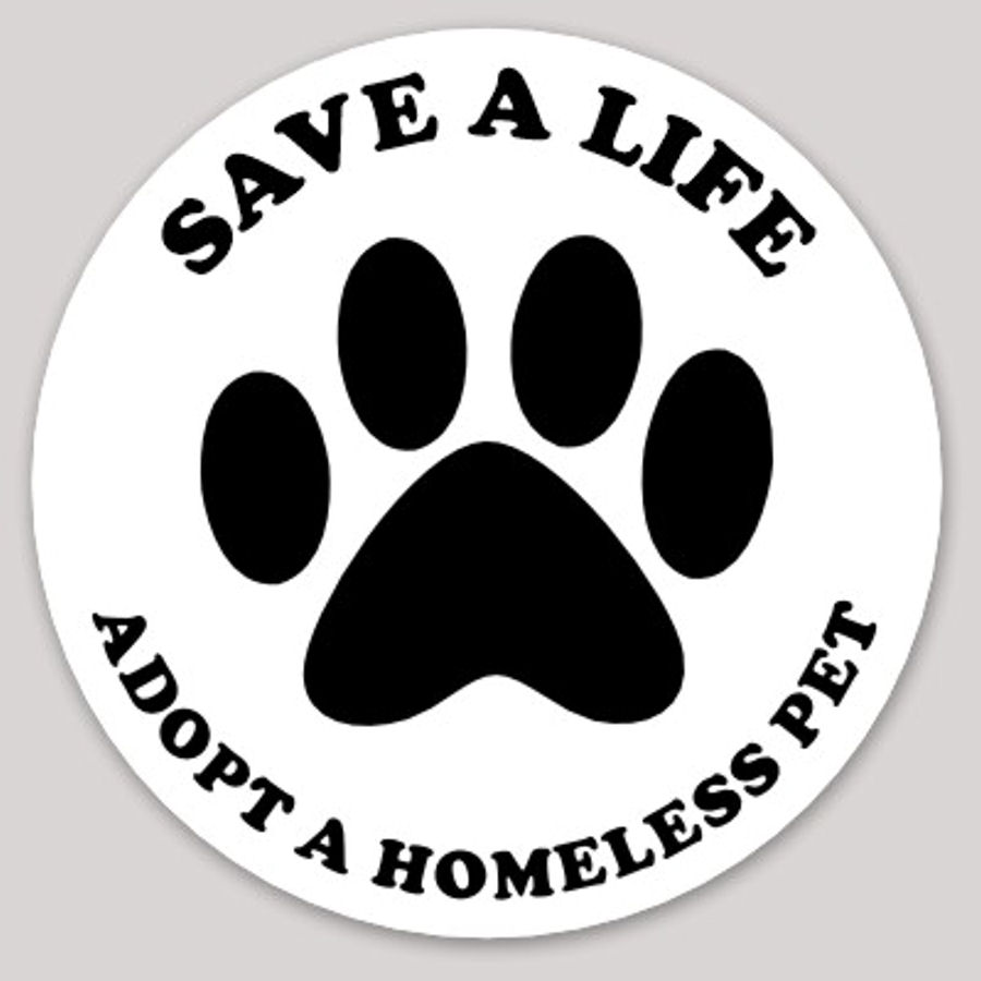 Save A Life Adopt A Homeless Pet White - Vinyl Sticker at Sticker Shoppe