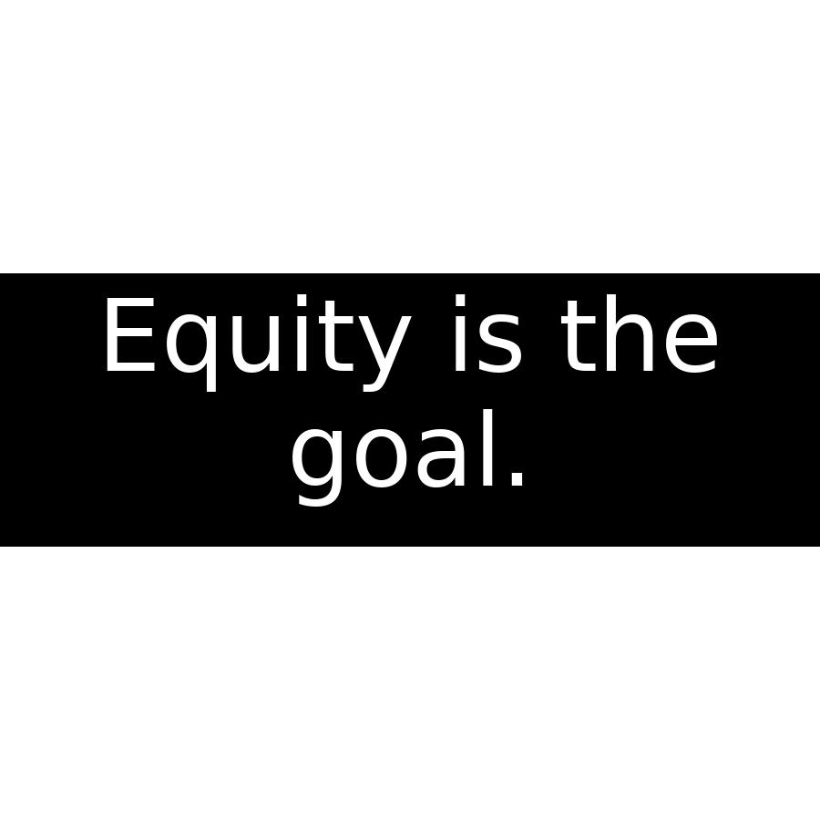 Equity is the goal. - Bumper Sticker at Sticker Shoppe