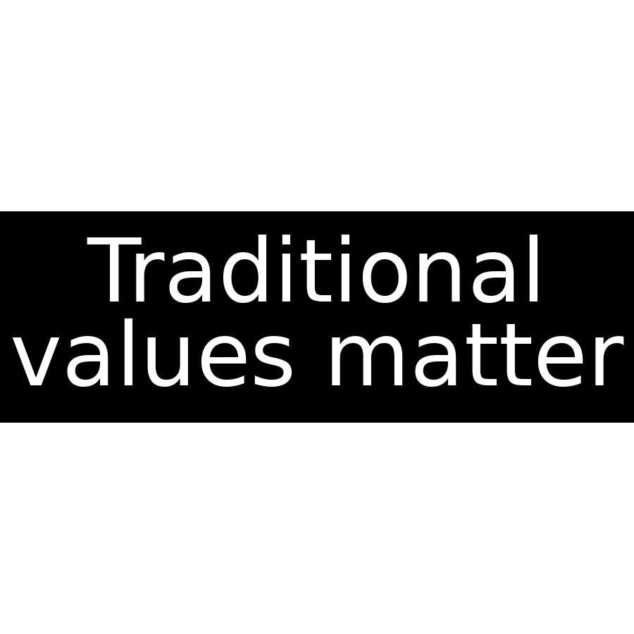 Traditional values matter - Bumper Sticker at Sticker Shoppe