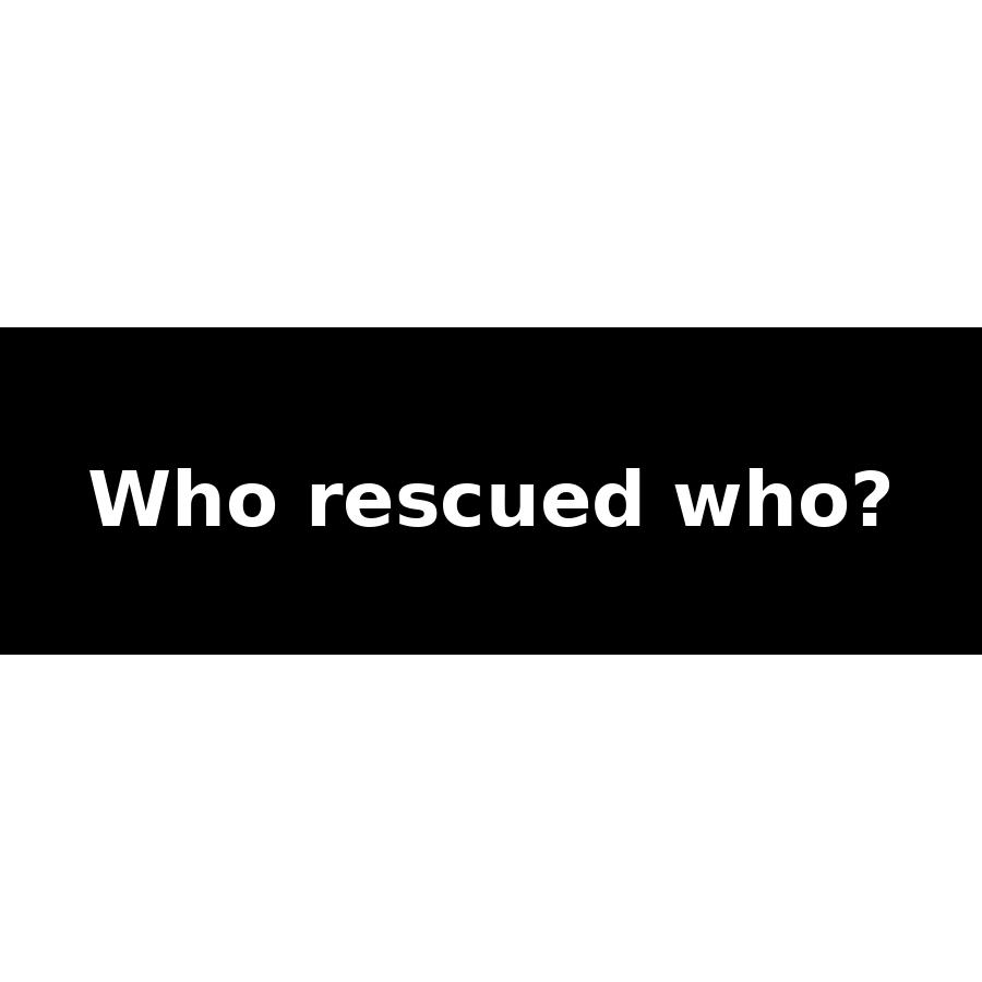 Who rescued who? - Bumper Sticker at Sticker Shoppe