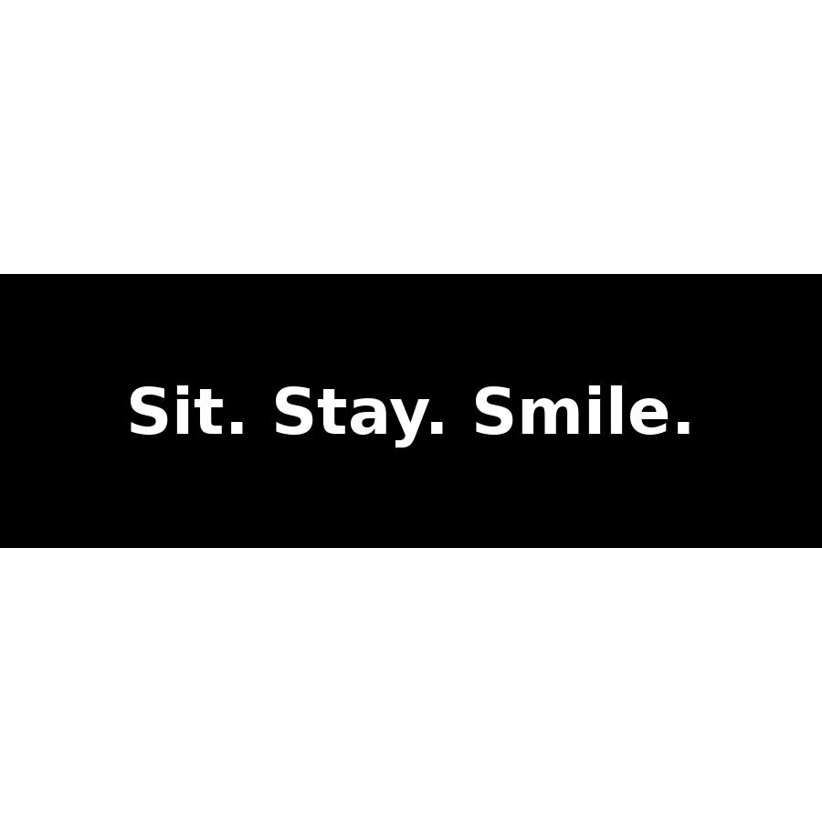Sit. Stay. Smile. - Bumper Sticker at Sticker Shoppe