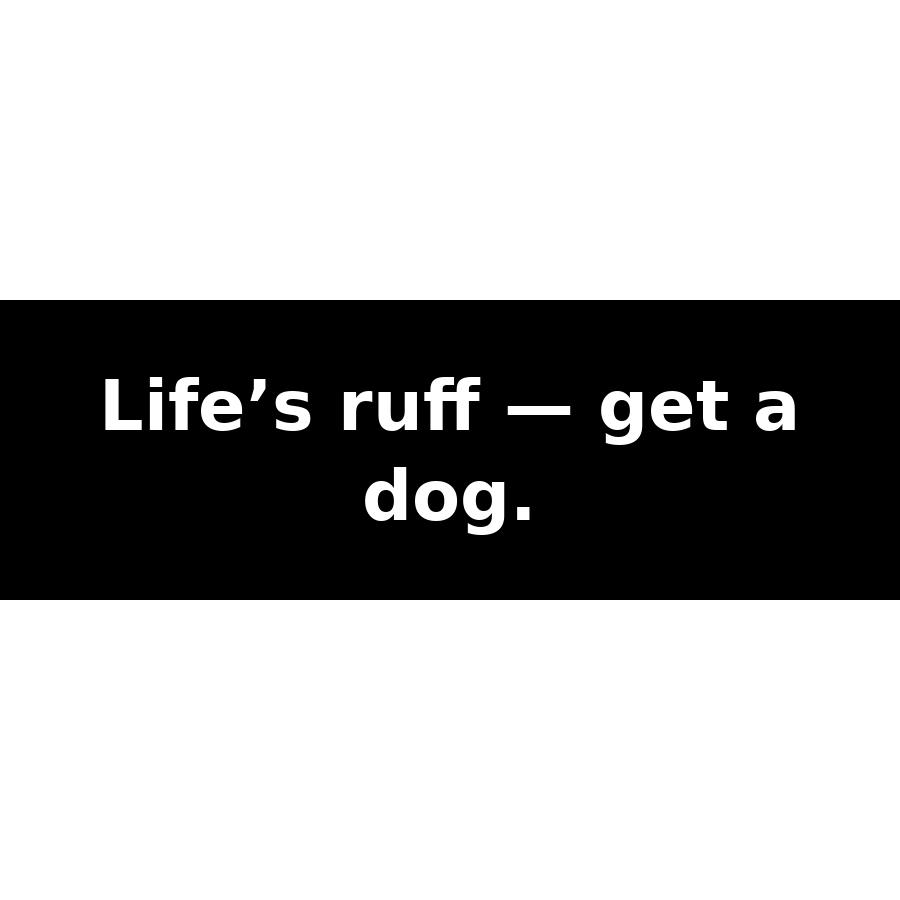 Life?s ruff ? get a dog. - Bumper Sticker at Sticker Shoppe