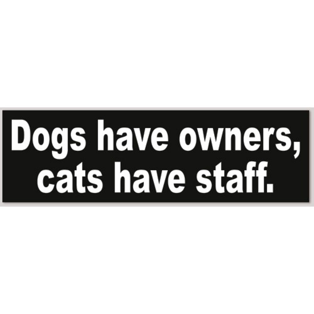 Dogs have owners, cats have staff. - Bumper Sticker at Sticker Shoppe