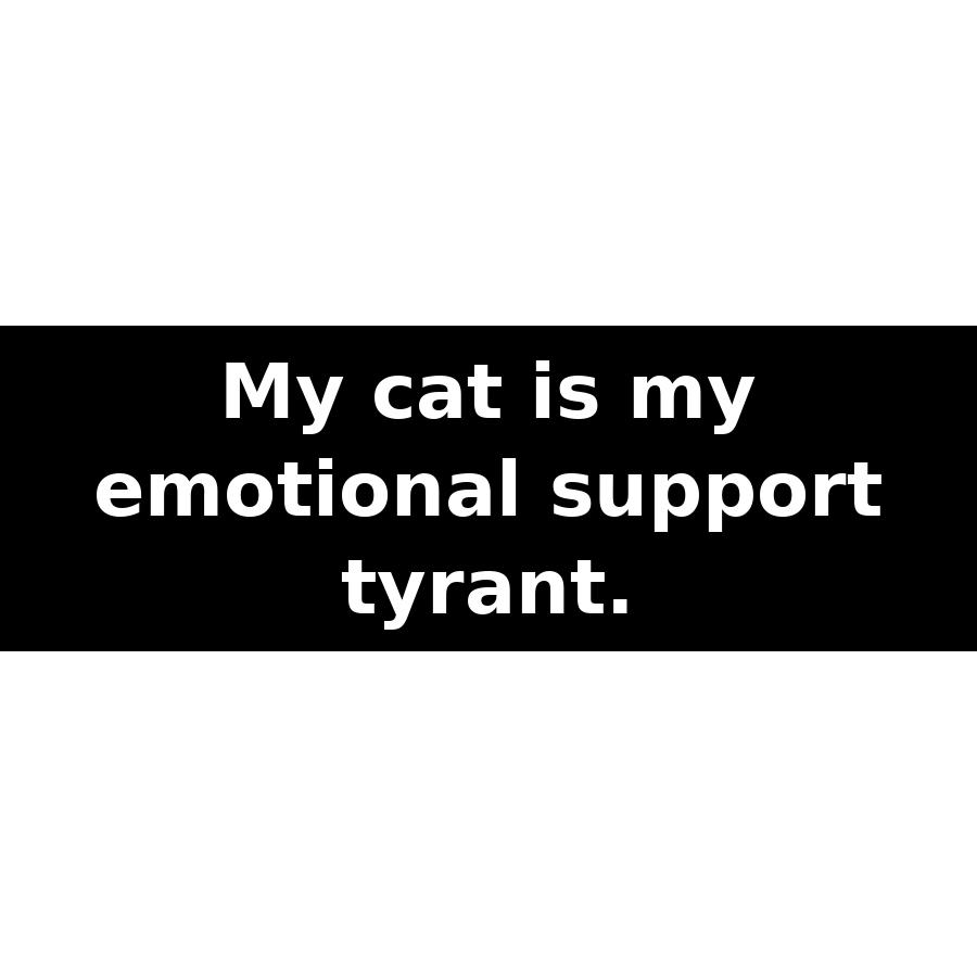 My cat is my emotional support tyrant. - Bumper Sticker at Sticker Shoppe