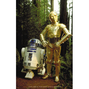 R2D2 & C3P0 - Sticker at Sticker Shoppe