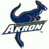 University Of Akron Stickers, Decals & Bumper Stickers