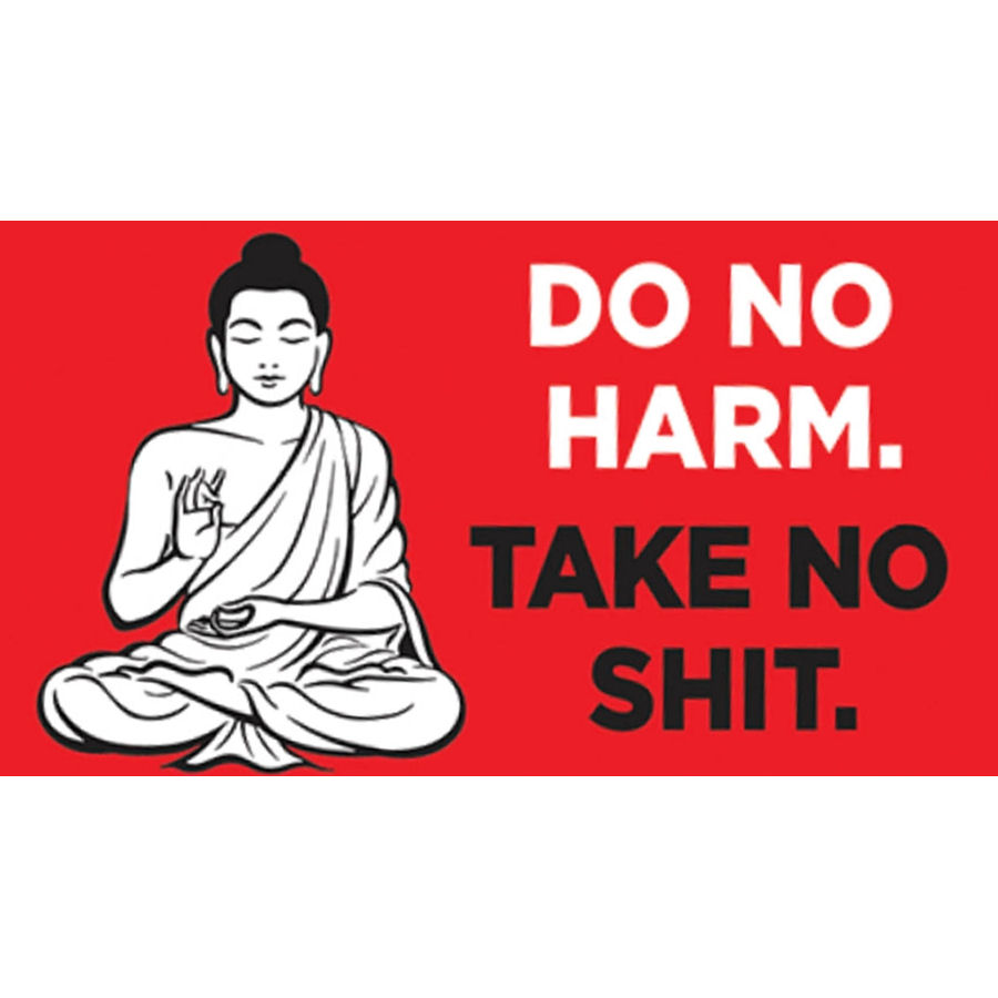 Do No Harm Take No Shit Buddah - Vinyl Sticker at Sticker Shoppe