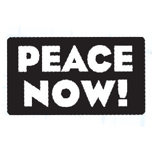 Peace Now - Sticker at Sticker Shoppe