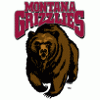 Montana Grizzlies Stickers, Decals & Bumper Stickers