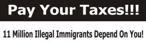 Pay Your Taxes - Bumper Sticker at Sticker Shoppe