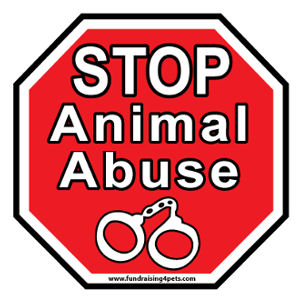 Stop Animal Abuse - Stop Sign Magnet at Sticker Shoppe